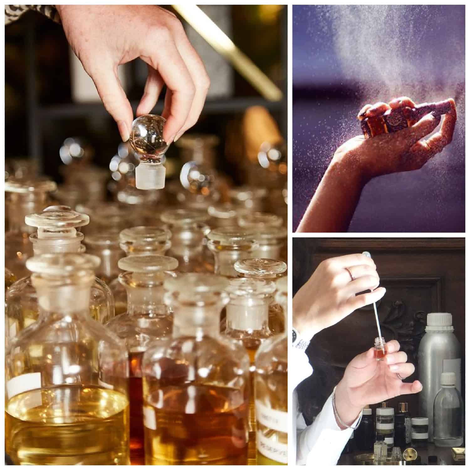 Understanding the Creation and Differentiation of Fragrances